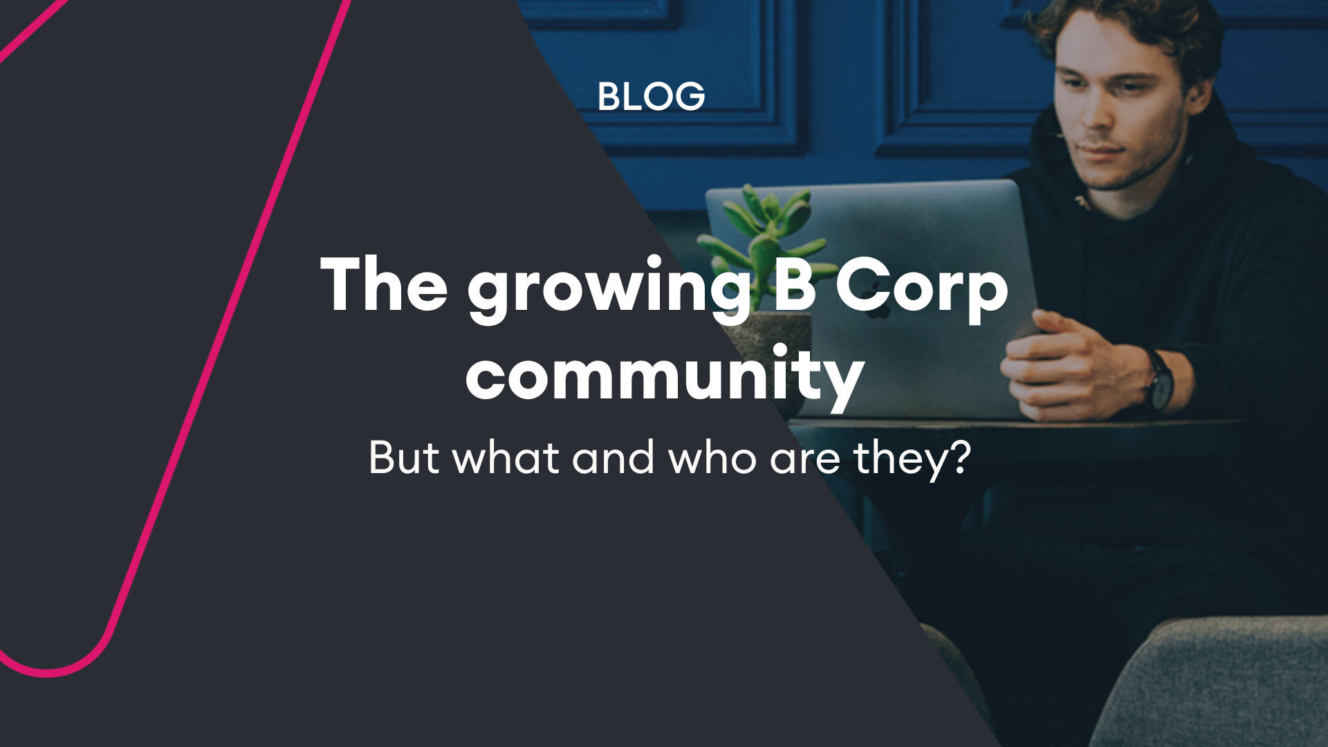 The B Corp community is growing - but what and who are they? | SHB