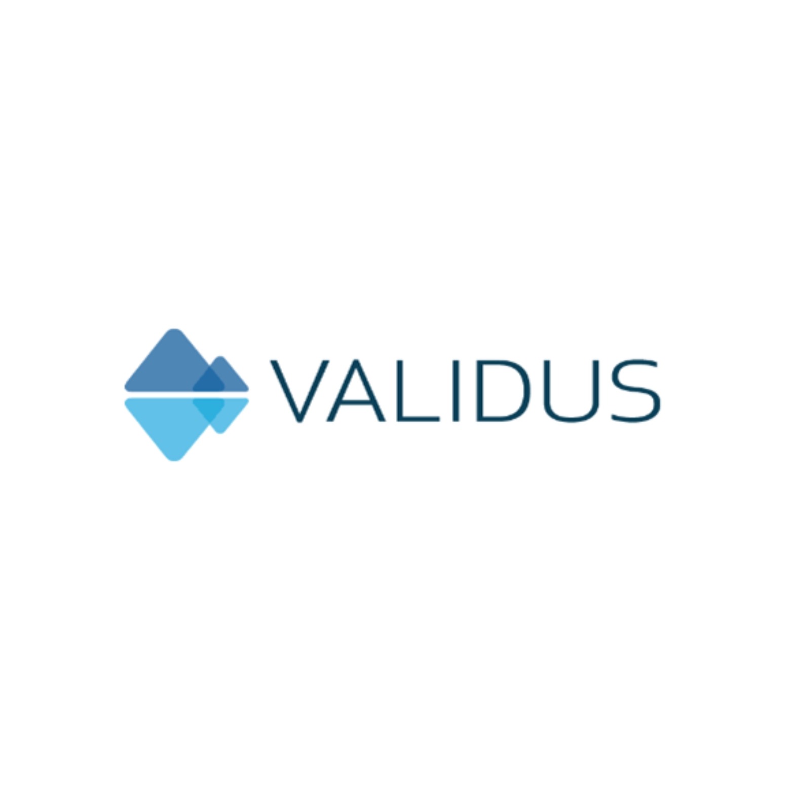 Validus Risk Management | Success Stories | SHB